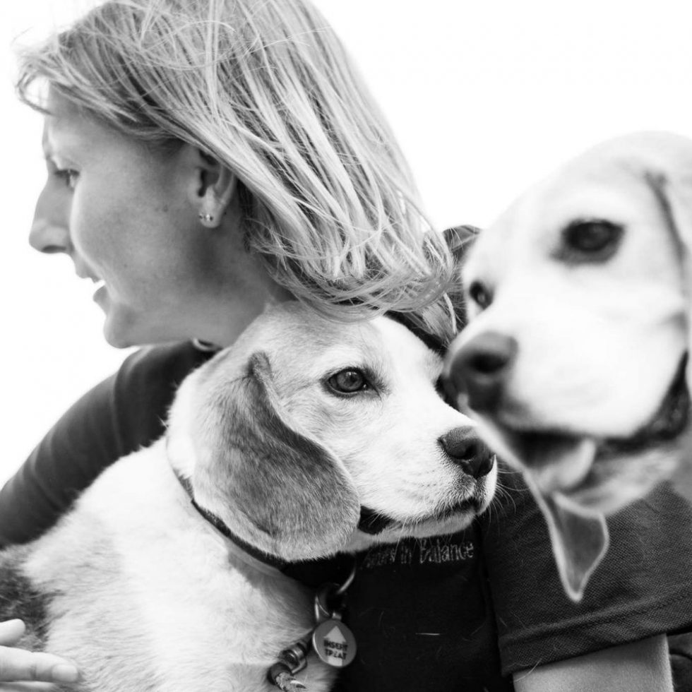 About the Rescue - Beagle Rescue NSW